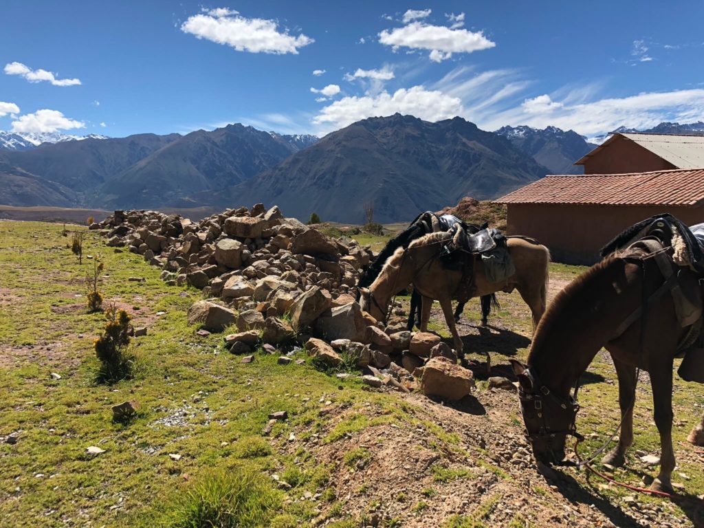 Machu Picchu - Sur la route des Incas – Les Pigeons Voyageurs